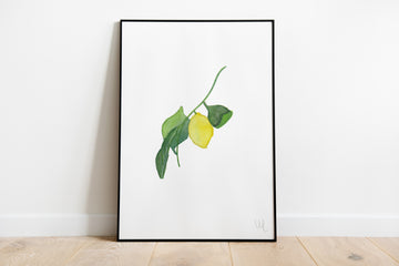 Ilustraciones – Wherever Emma